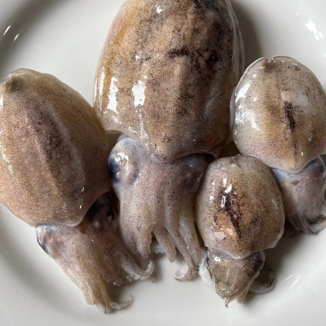 Choco Fresco | Algeciras Market